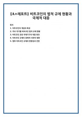 비트코인의 법적 규제 현황과 국제적 대응-1페이지