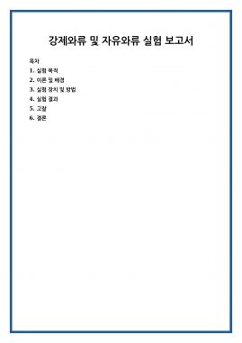 강제와류 및 자유와류 실험 보고서-1페이지