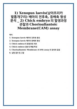 1) Xenopus laevis(남아프리카 발톱개구리) 배아의 전후축, 등배축 형성 분석 _ 2) Chick embryo의 발생과정 관찰과 Chorioallantoic Membrane(CAM) assay-1페이지