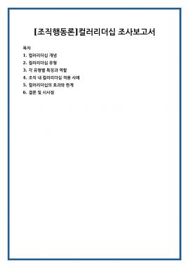 [조직행동론]컬러리더십 조사보고서-1페이지