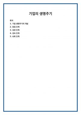 기업의 생명주기-1페이지