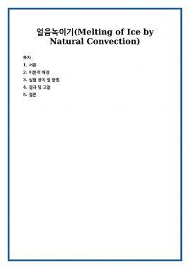 얼음녹이기(Melting of Ice by Natural Convection)-1페이지