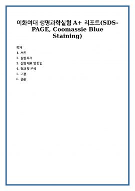 이화여대 생명과학실험 리포트(SDS-PAGE, Coomassie Blue Staining)-1페이지
