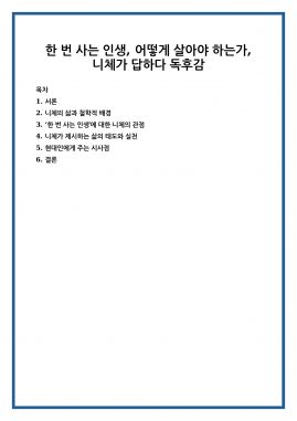 한 번 사는 인생, 어떻게 살아야 하는가, 니체가 답하다 독후감-1페이지
