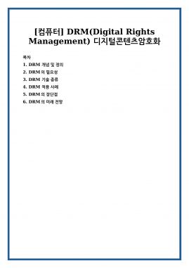 [컴퓨터] DRM(Digital Rights Management) 디지털콘텐츠암호화-1페이지
