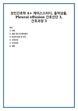 성인간호학 케이스스터디, 흉막삼출, Pleural effusion 간호진단 3, 간호과정 3-1페이지
