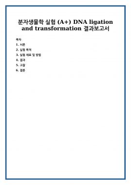 분자생물학 실험 DNA ligation and transformation 결과보고서-1페이지