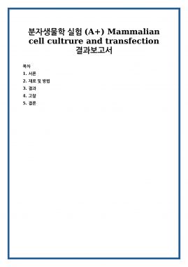 분자생물학 실험 Mammalian cell cultrure and transfection 결과보고서-1페이지
