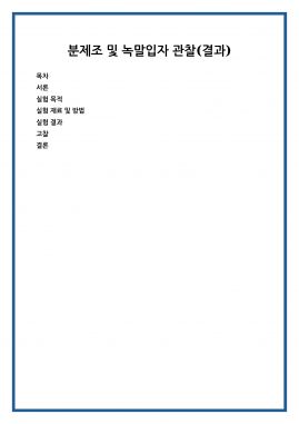 분제조 및 녹말입자 관찰(결과)-1페이지