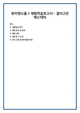 뷰티앤소울 ) 체험학습보고서 - 결이고은 에스테틱-1페이지