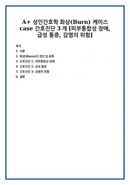 성인간호학 화상(Burn) 케이스 case 간호진단 3개 [피부통합성 장애, 급성 통증, 감염의 위험]-1페이지