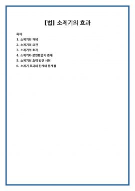 [법] 소제기의 효과-1페이지