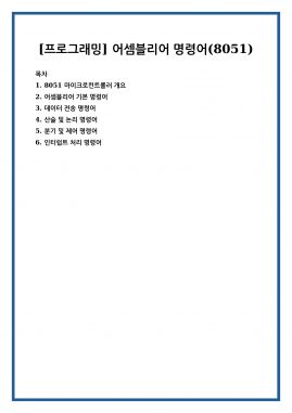 [프로그래밍] 어셈블리어 명령어(8051)-1페이지