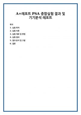 PSA 중합실험 결과 및 기기분석-1페이지