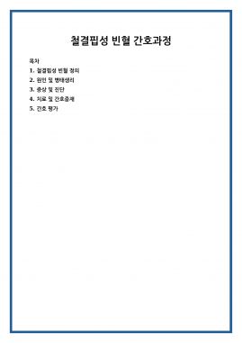 철결핍성 빈혈 간호과정-1페이지