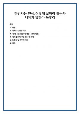 한번사는 인생,어떻게 살아야 하는가 니체가 답하다 독후감-1페이지