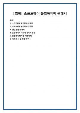 [법학] 소프트웨어 불법복제에 관해서-1페이지