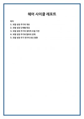 헤어 사이클 레포트-1페이지
