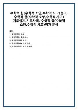 수학적 힘(수학적 소양,수학적 사고)정의, 수학적 힘(수학적 소양,수학적 사고)지도실제,지도사례, 수학적 힘(수학적 소양,수학적 사고)평가 분석-1페이지