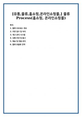 [유통,물류,홈쇼핑,온라인쇼핑몰,] 물류 Process(홈쇼핑, 온라인쇼핑몰)-1페이지