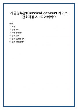 자궁경부암(Cervical cancer) 케이스 간호과정 C아쉬워요-1페이지