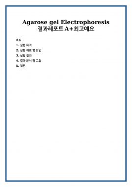 Agarose gel Electrophoresis 결과레포트-1페이지