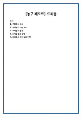 [농구 레포트] 드리블-1페이지