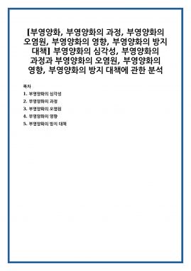 [부영양화, 부영양화의 과정, 부영양화의 오염원, 부영양화의 영향, 부영양화의 방지 대책] 부영양화의 심각성, 부영양화의 과정과 부영양화의 오염원, 부영양화의 영향, 부영양화의 방지 대책에 관한 분석-1페이지