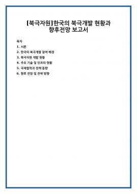 [북극자원]한국의 북극개발 현황과 향후전망 보고서-1페이지