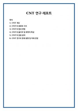 CNT 연구 레포트-1페이지