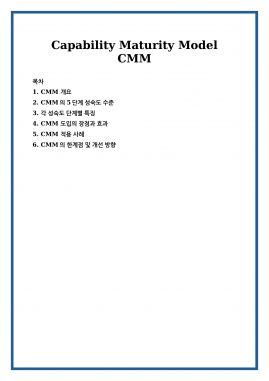 Capability Maturity Model CMM-1페이지