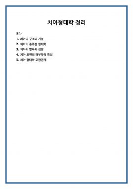 치아형태학 정리-1페이지