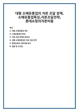 대형 소매유통업의 자본 조달 정책,소매유통업특징,자본조달전략,롯데쇼핑의자본비용-1페이지
