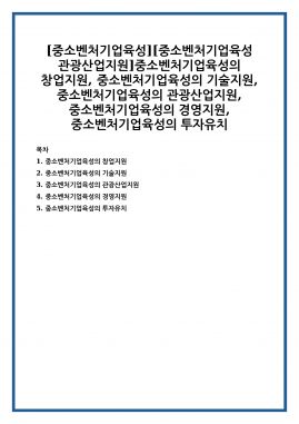 [중소벤처기업육성][중소벤처기업육성 관광산업지원]중소벤처기업육성의 창업지원, 중소벤처기업육성의 기술지원, 중소벤처기업육성의 관광산업지원, 중소벤처기업육성의 경영지원, 중소벤처기업육성의 투자유치-1페이지