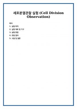 세포분열관찰 실험 (Cell Division Observation)-1페이지