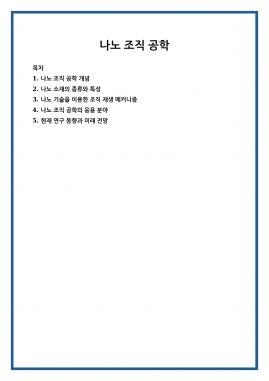 나노 조직 공학-1페이지