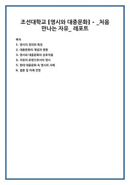 조선대학교 [영시와 대중문화] - _처음 만나는 자유_ 레포트-1페이지