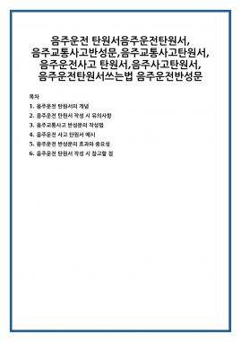 음주운전 탄원서음주운전탄원서,음주교통사고반성문,음주교통사고탄원서,음주운전사고 탄원서,음주사고탄원서,음주운전탄원서쓰는법 음주운전반성문-1페이지