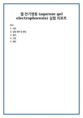 겔 전기영동 (agarose gel electrophoresis) 실험 리포트-1페이지