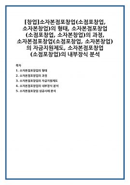 [창업]소자본점포창업(소점포창업, 소자본창업)의 형태, 소자본점포창업(소점포창업, 소자본창업)의 과정, 소자본점포창업(소점포창업, 소자본창업)의 자금지원제도, 소자본점포창업(소점포창업)의 내부장식 분석-1페이지