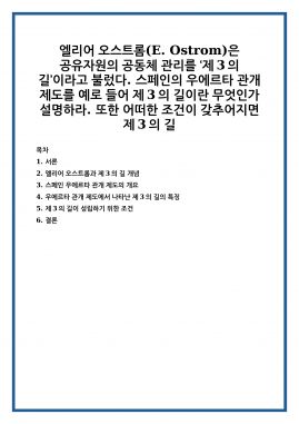 엘리어 오스트롬(E. Ostrom)은 공유자원의 공동체 관리를 ‘제3의 길’이라고 불렀다. 스페인의 우에르타 관개 제도를 예로 들어 제3의 길이란 무엇인가 설명하라. 또한 어떠한 조건이 갖추어지면 제3의 길-1페이지