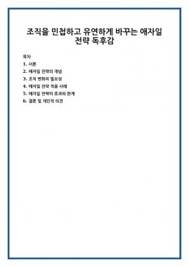 조직을 민첩하고 유연하게 바꾸는 애자일 전략 독후감-1페이지