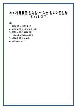 소비자행동을 설명할 수 있는 심리이론실험 3 set 탐구-1페이지