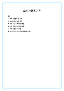 소비자행동이론-1페이지