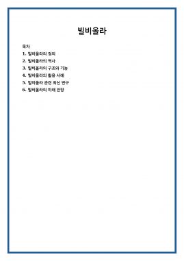 빌비올라 레포트 자료-1페이지
