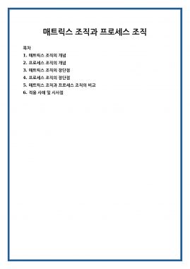 매트릭스 조직과 프로세스 조직-1페이지
