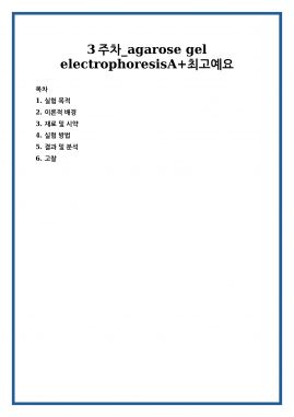 3주차_agarose gel electrophoresis-1페이지