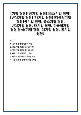 [기업 경영][공기업 경영][중소기업 경영][벤처기업 경영][대기업 경영][다국적기업 경영]공기업 경영, 중소기업 경영, 벤처기업 경영, 대기업 경영, 다국적기업 경영 분석(기업 경영, 대기업 경영, 공기업 경영)-1페이지