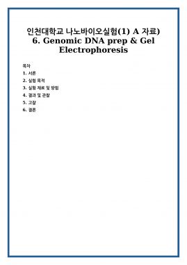 인천대학교 나노바이오실험(1) A 자료) 6. Genomic DNA prep & Gel Electrophoresis-1페이지