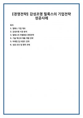 [경영전략] 감성조명 필룩스의 기업전략 성공사례-1페이지